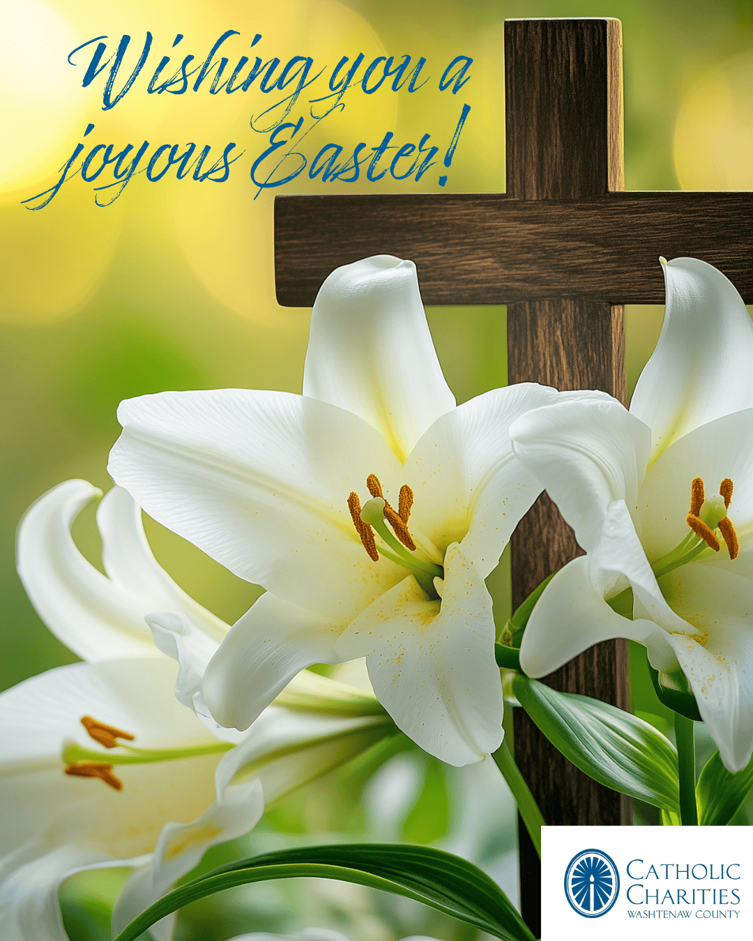 Happy Easter from Senior Resource Connect